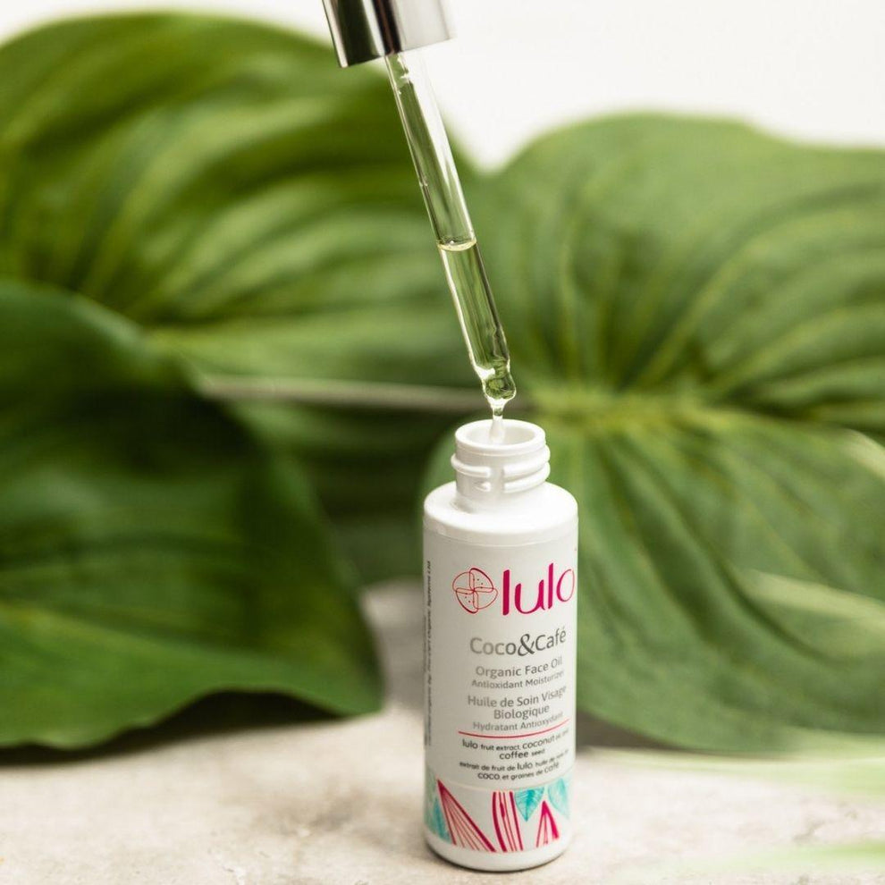 Antioxidant Face Oil - Coco & Café – Lulo Skin